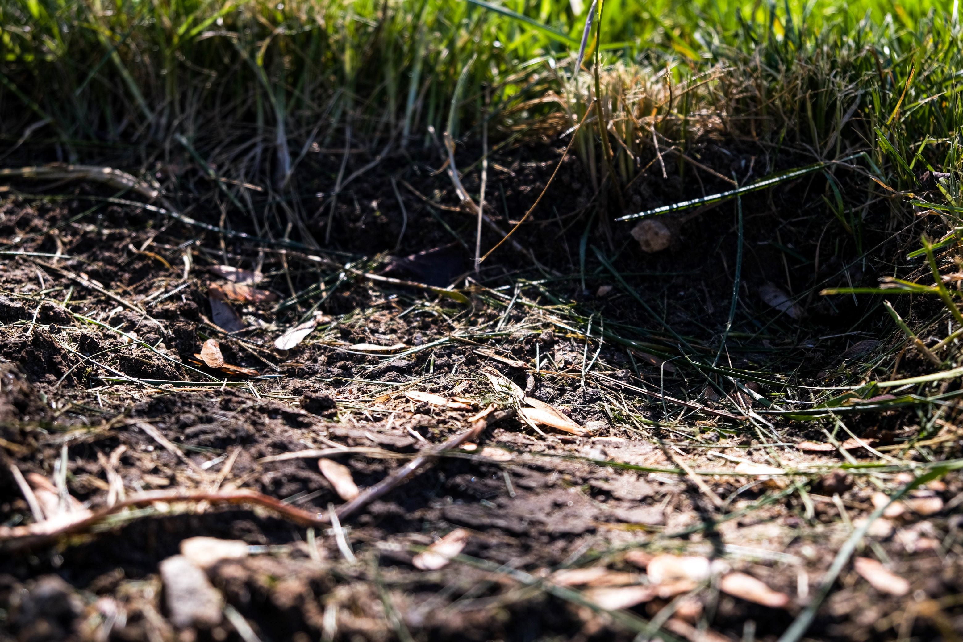 Improve Soil Health with One Easy Application | Lawn and Pest Control ...